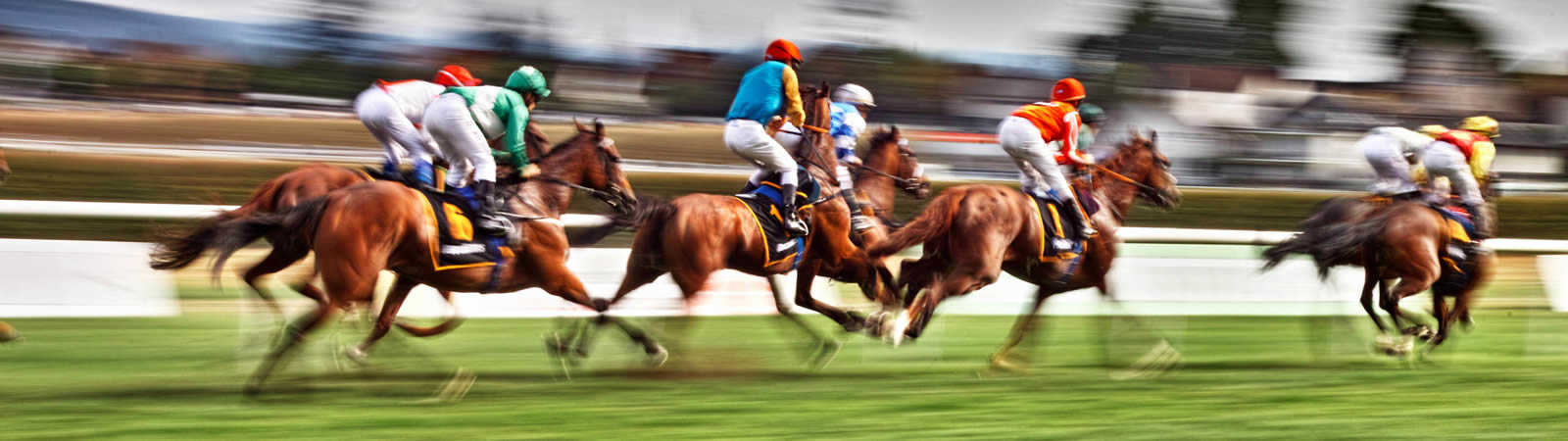 Horse race tipping service | Northern Monkey Punter